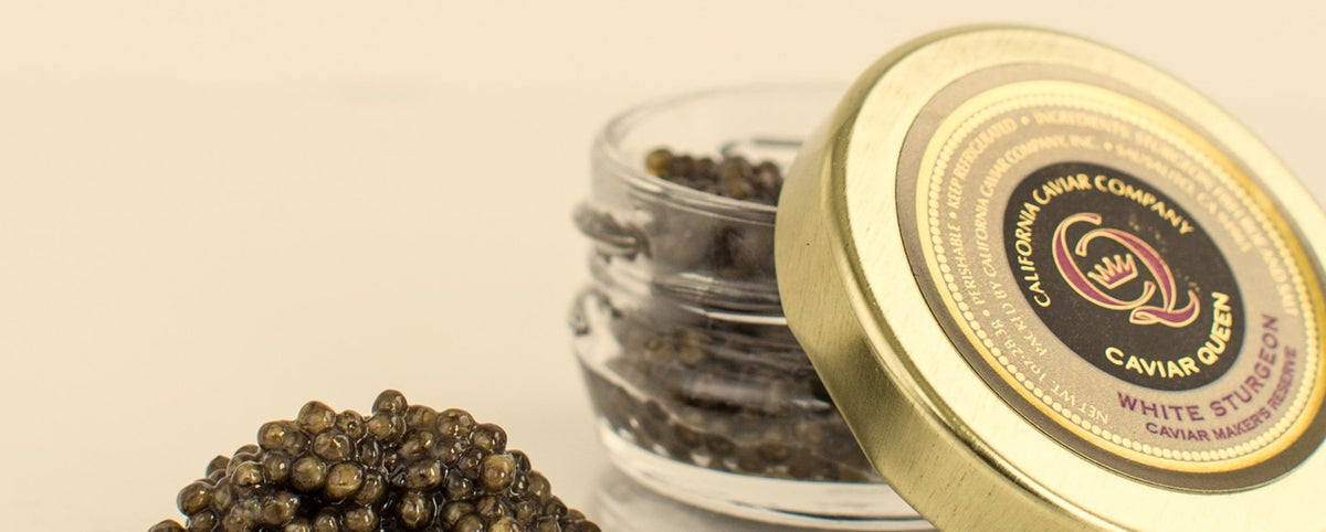 Caviar Queen's White Sturgeon Reserve – California Caviar Company